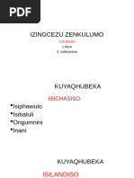 Izinhlobo Zemisho & Zezinkulumo | PDF