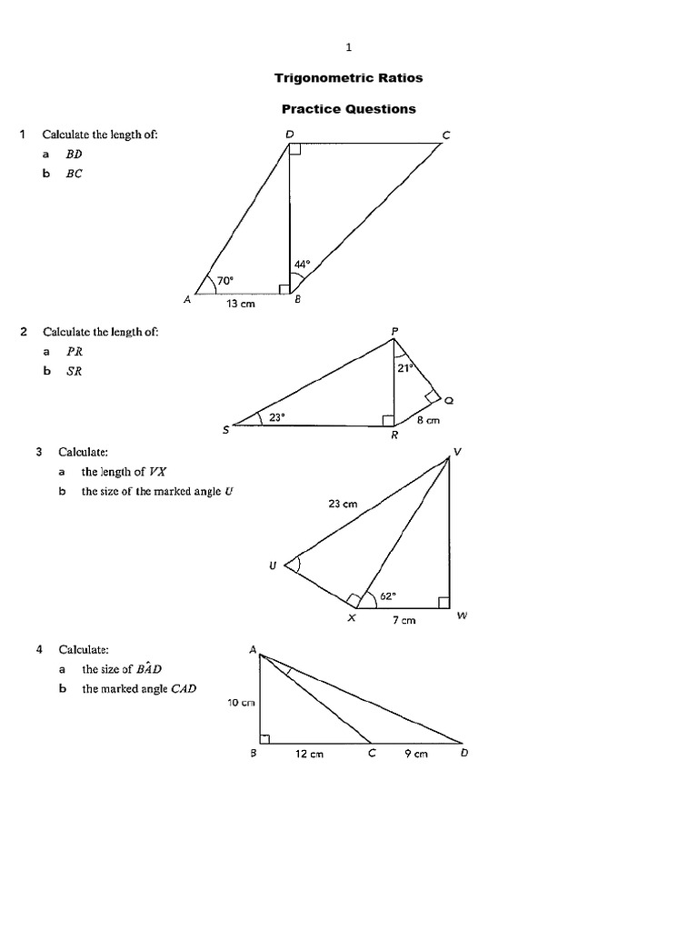 Trigonometric Ratios Worksheet | PDF