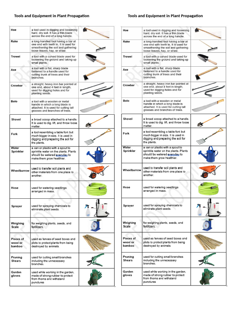 Lesson 5 Tools and Equipment in Plant Propagation | PDF