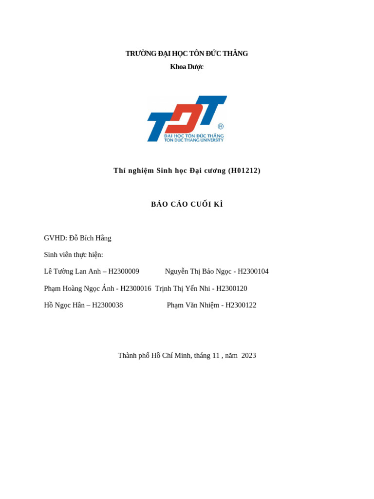 6. Mẫu Báo cáo - TN SHDC | PDF