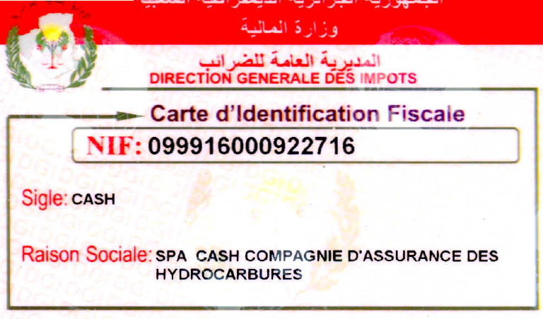 CASH - Carte D'identification Fiscale | PDF