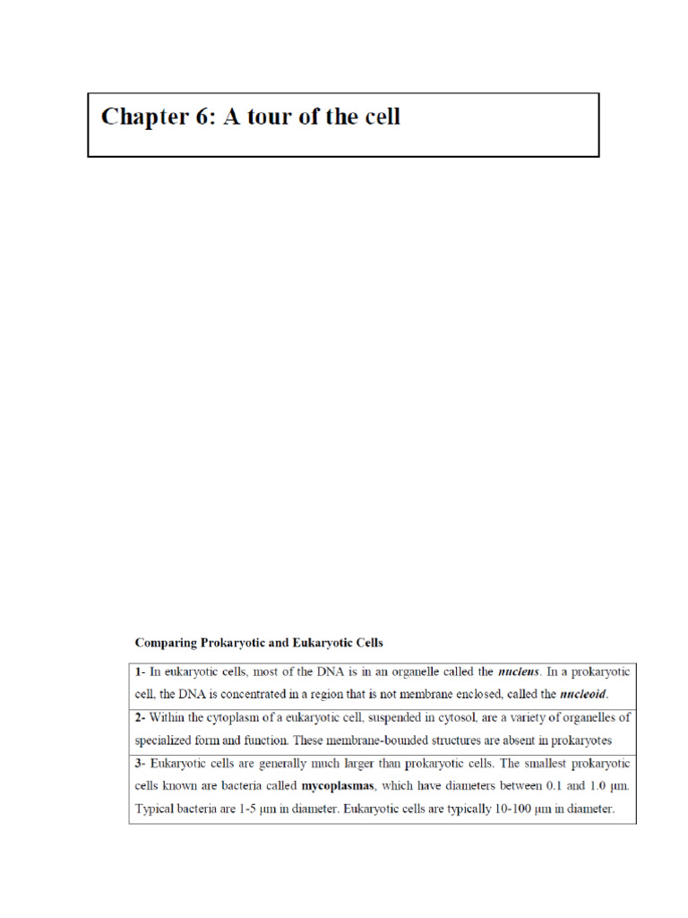 Chapter 6 - A Tour of The Cell | PDF | Endoplasmic Reticulum | Cell Nucleus