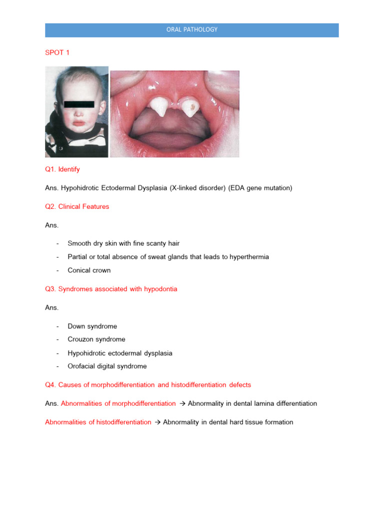 Oral Pathology | PDF | Medical Specialties | Dentistry