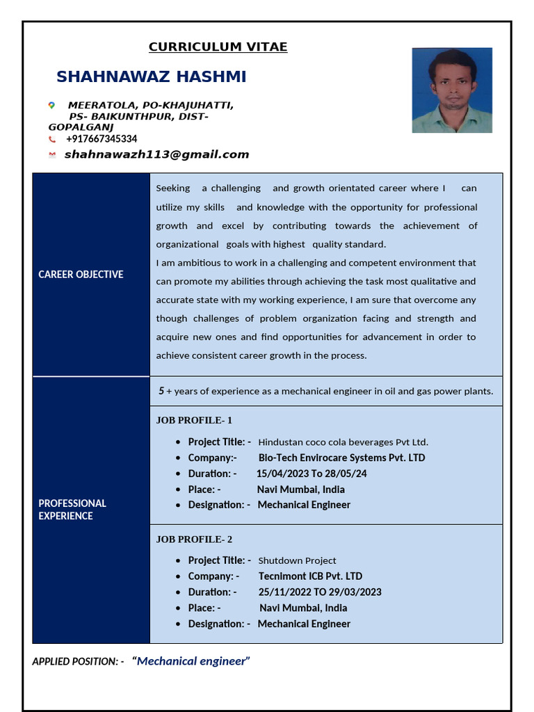 Basic CV | PDF