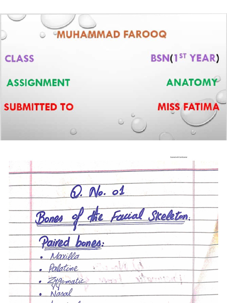 Muhammad Farooq | PDF