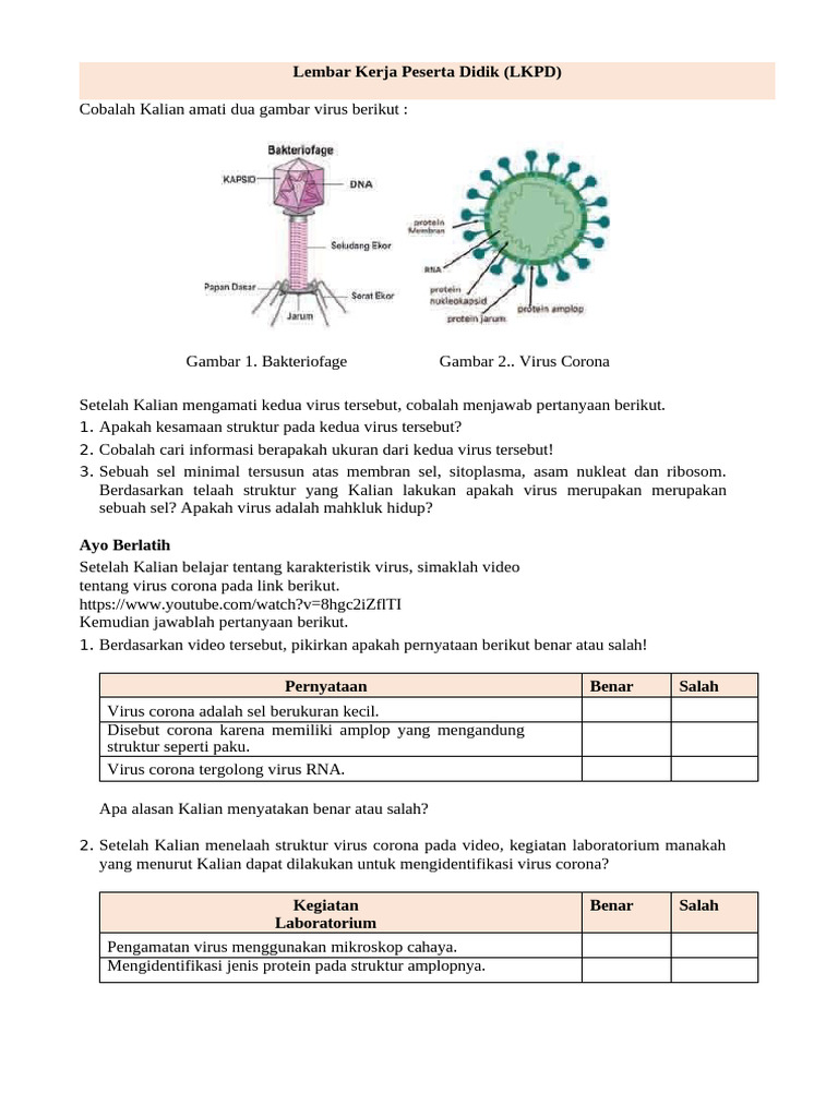 LKPD Virus | PDF