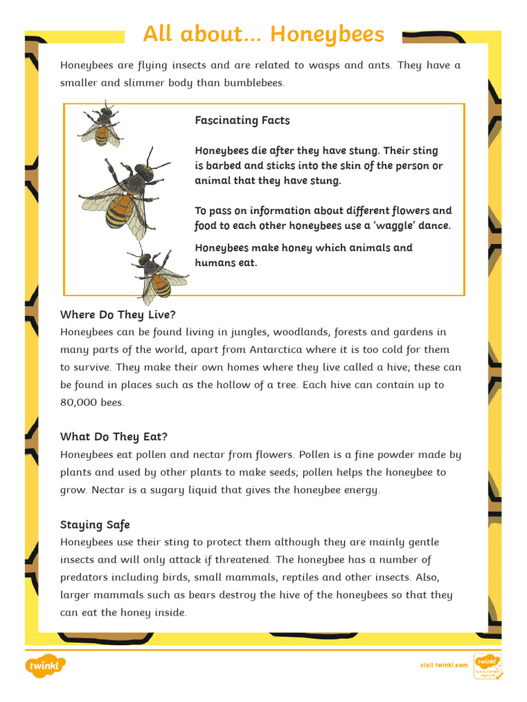 Honey Bee Reading Comprehension | PDF | Young Adult