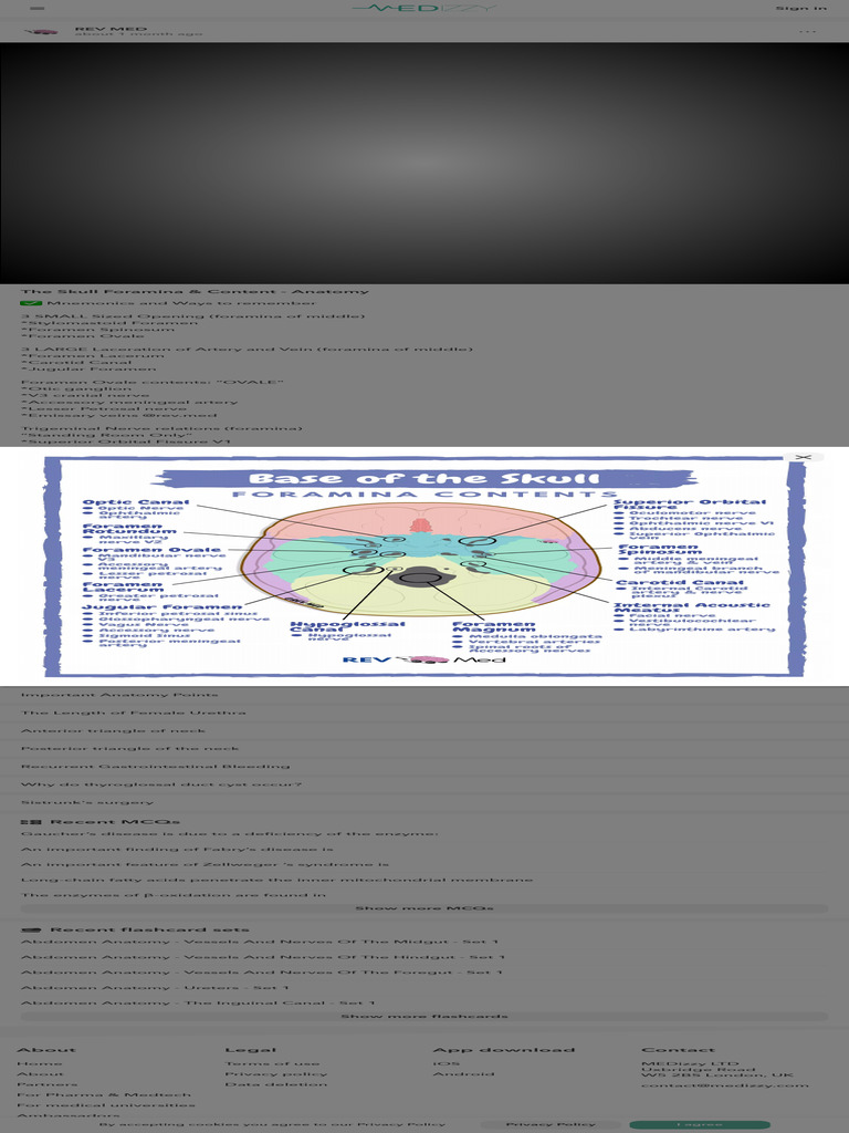 The Skull Foramina & Content - Anatomy - MEDizzy | PDF | Human Anatomy ...