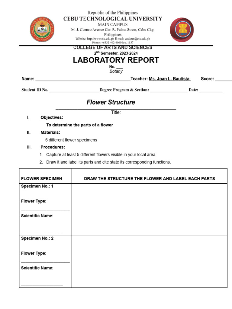 Flower Structure Lab Activity - Botany | PDF | Plant Stem | Flowers