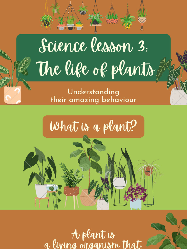 Science Lesson 3 | PDF | Science & Mathematics