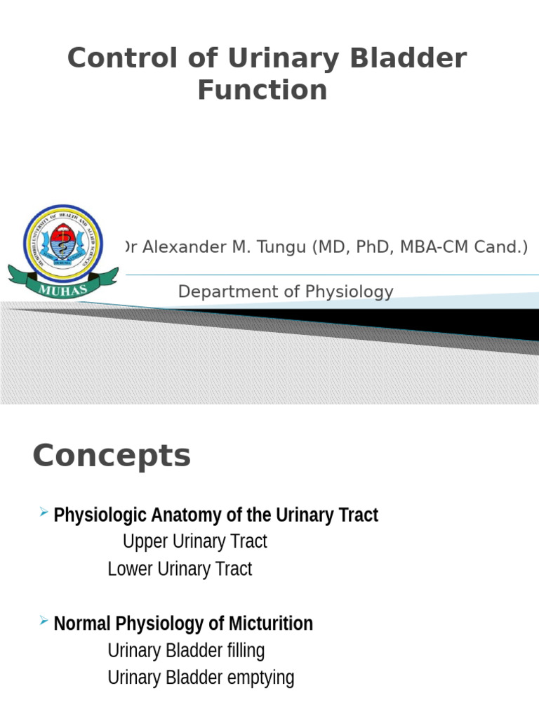 11-Control of Urinary Bladder Function Lecture - PPX | PDF | Urination ...
