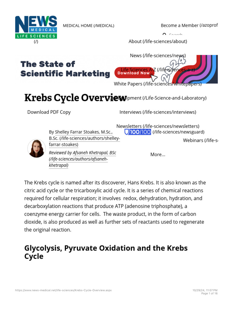 Krebs Cycle Overview | PDF | Diet & Nutrition | Chemistry