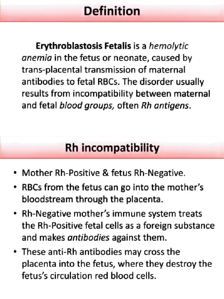Erythroblastosis Foetalis | PDF | Science & Mathematics