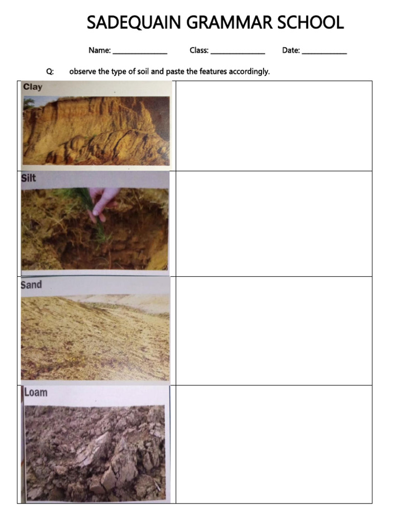 Soil Observation Worksheet for Students | PDF