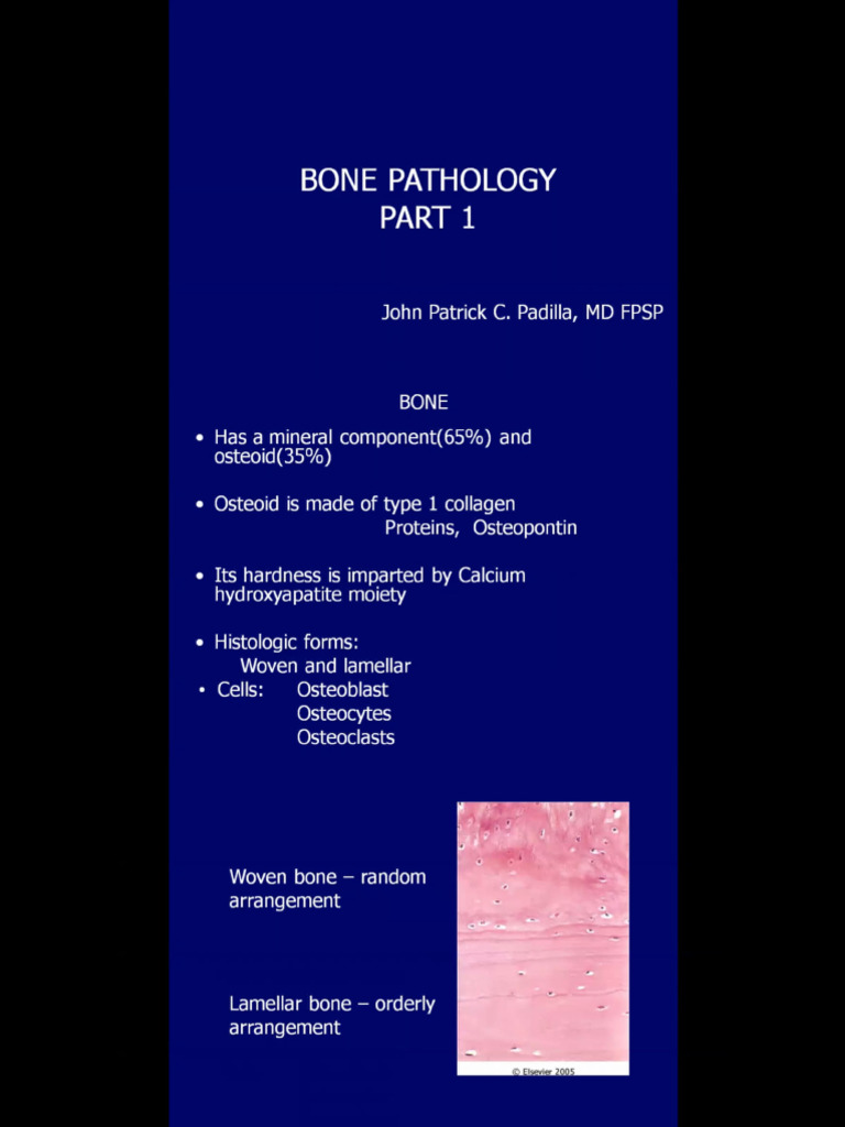 Bone pathology - 1 & 2 by Dr. Padilla | PDF
