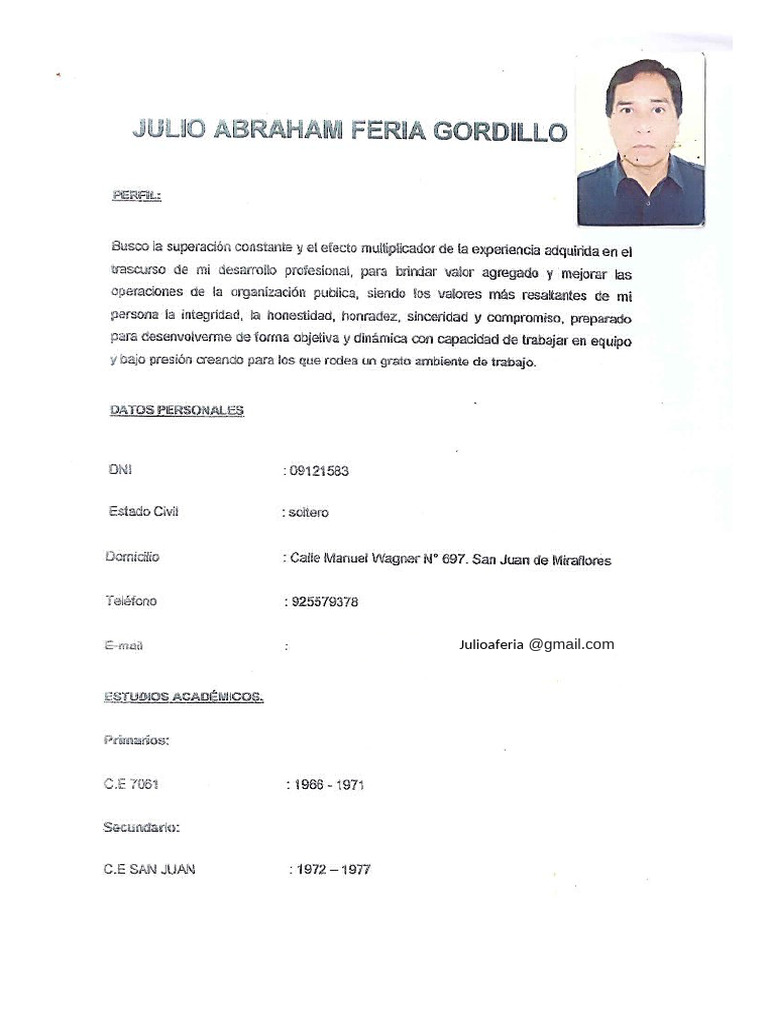 Cv Julio Feria Word | PDF