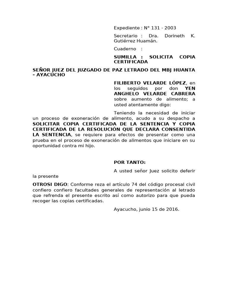 Copia Certifica de Sergio | PDF | Derecho