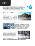 Ciclo Del Agua - Sopa de Letras | PDF