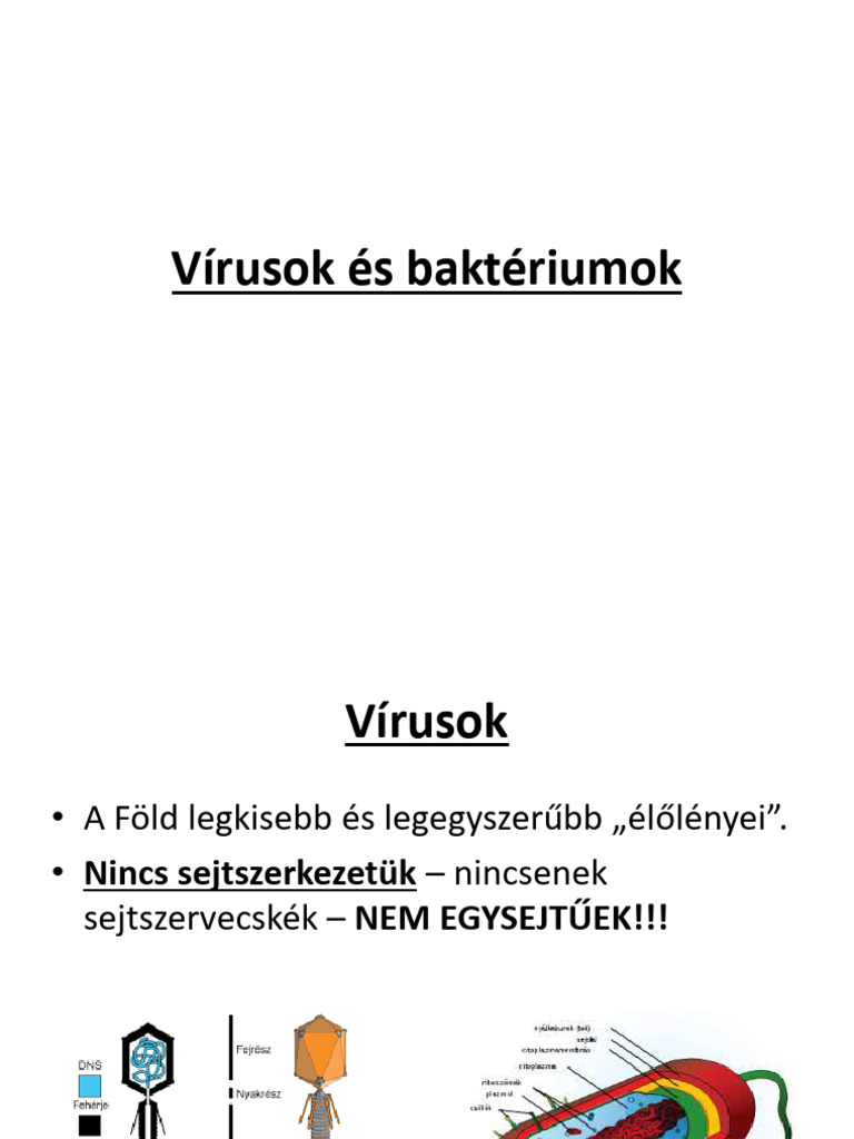 6AB - Virusok Es Bakteriumok | PDF