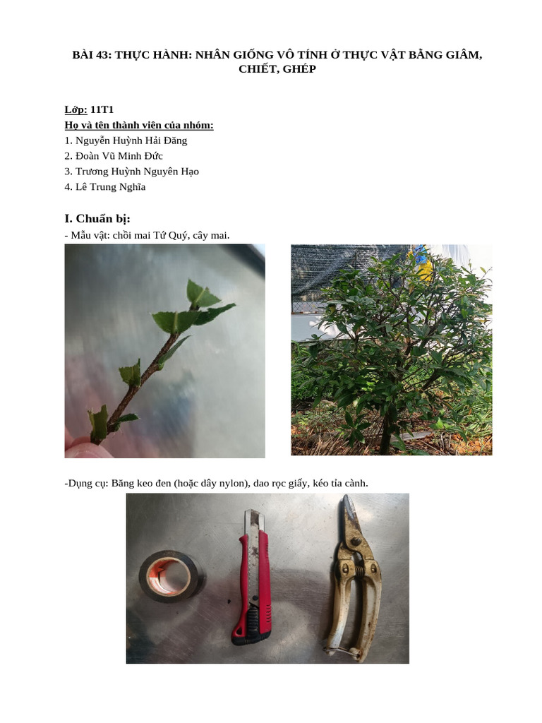 Thực hành Nhân giống vô tính ở Thực vật | PDF