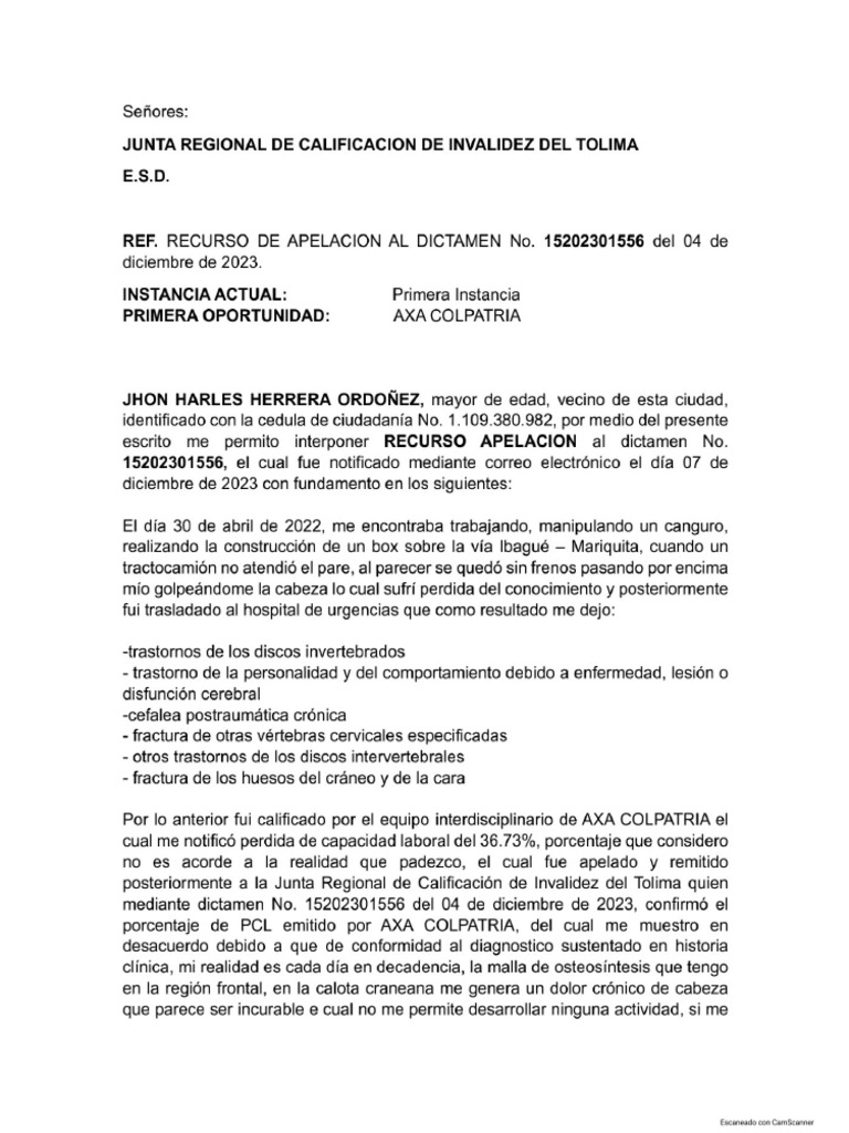 Apelacion Dictamen. J.M.R de Invalidez | PDF