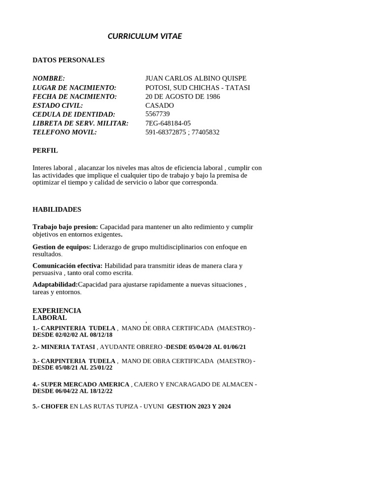 Curriculum Carlos | PDF