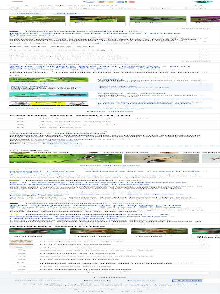 Are Spiders Insects - Google Search | PDF | Spider | Insects
