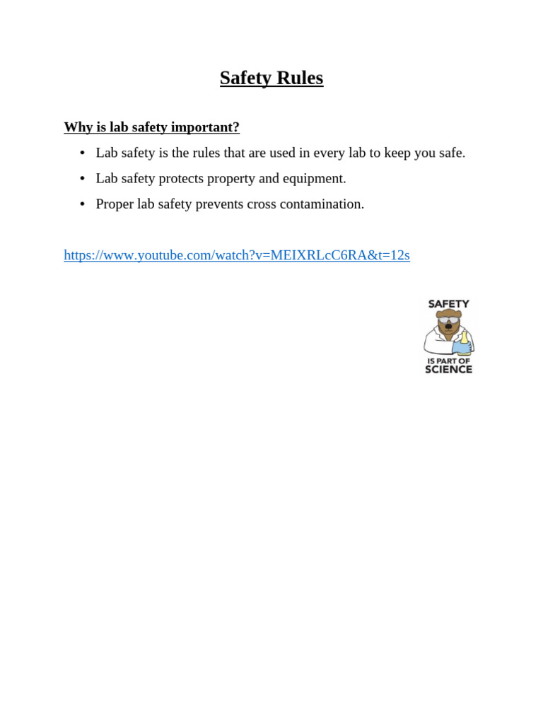 LESSON 4 Safety Rules | PDF | Computers