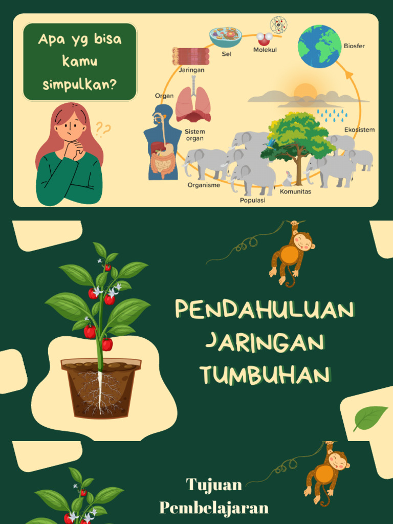 Bahan Ajar | PDF | Griya & Taman | Kesehatan Holistik