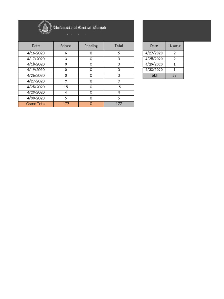 Daily Activity Format | PDF