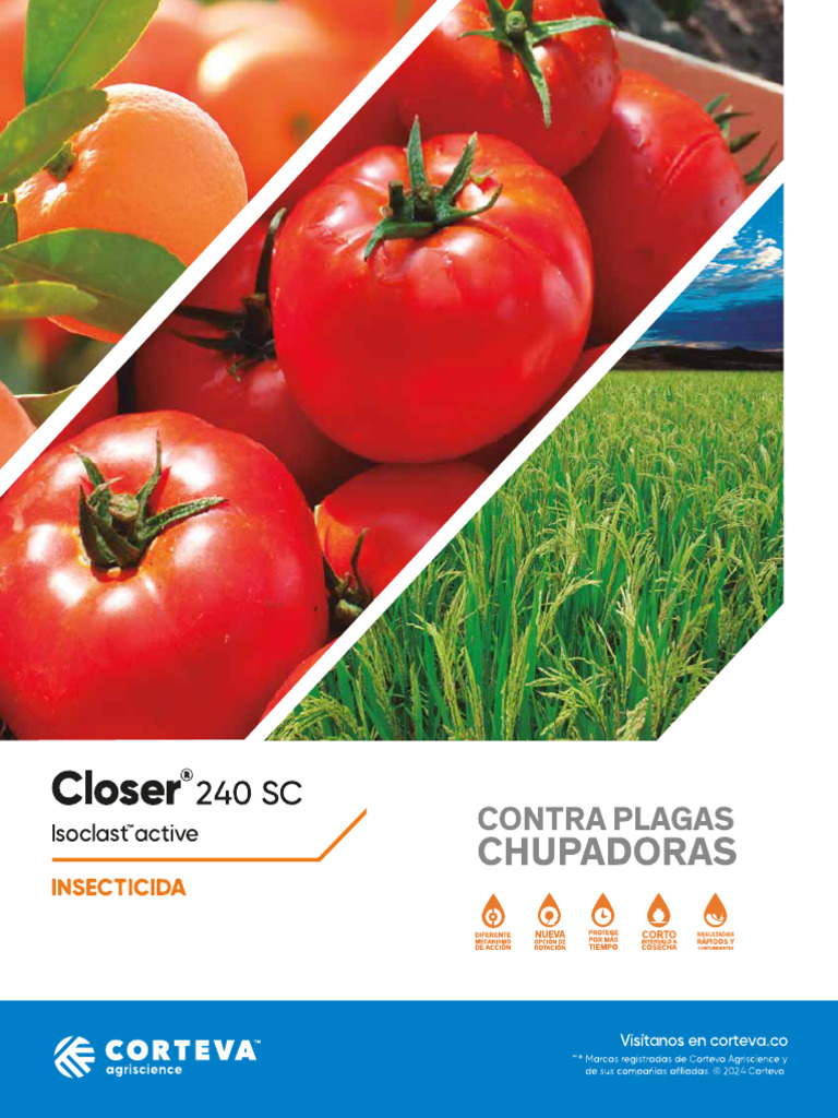 Closer Colombia HV Digital 2024 | PDF | Insectos y humanos | Agricultura