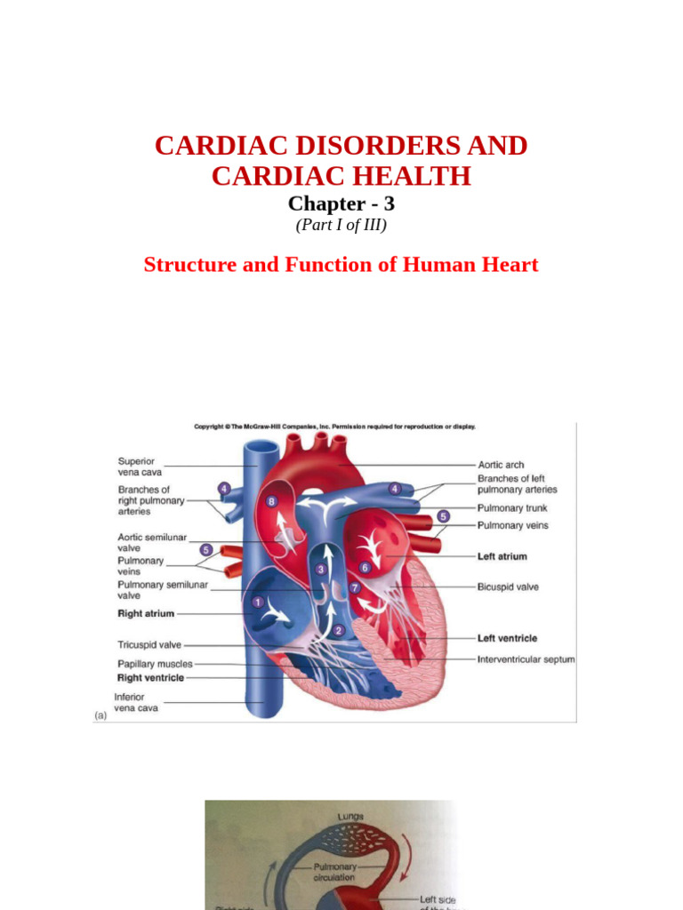 Cardiac-I | PDF
