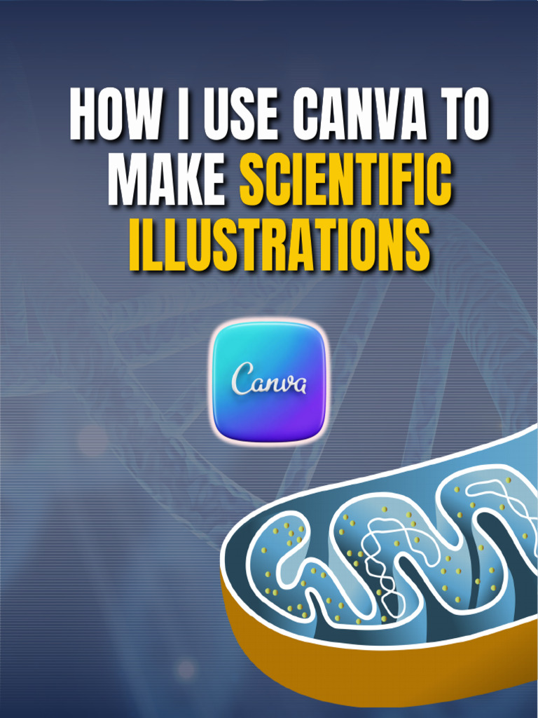 Create Scientific Diagrams in Canva | PDF | Computers