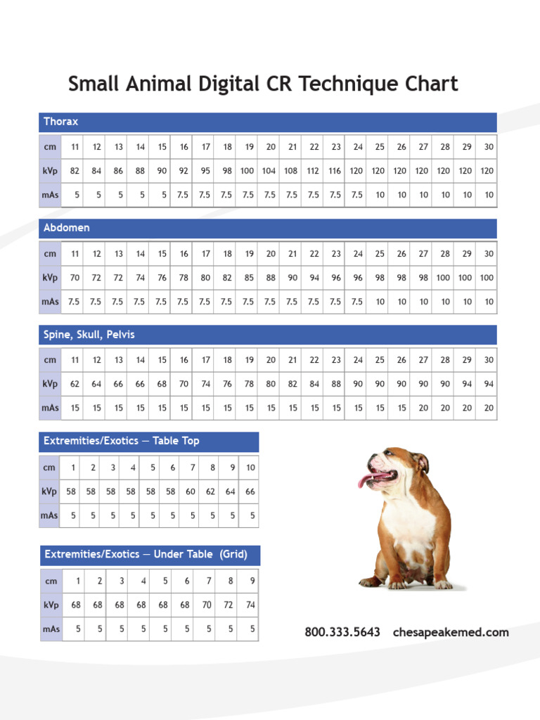 Small Animal Digital CR Technique Chart | PDF