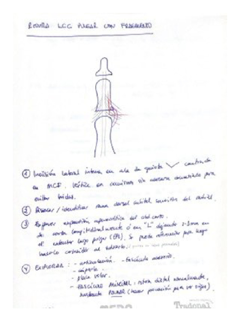 Ligamento Colateral Cubital | PDF