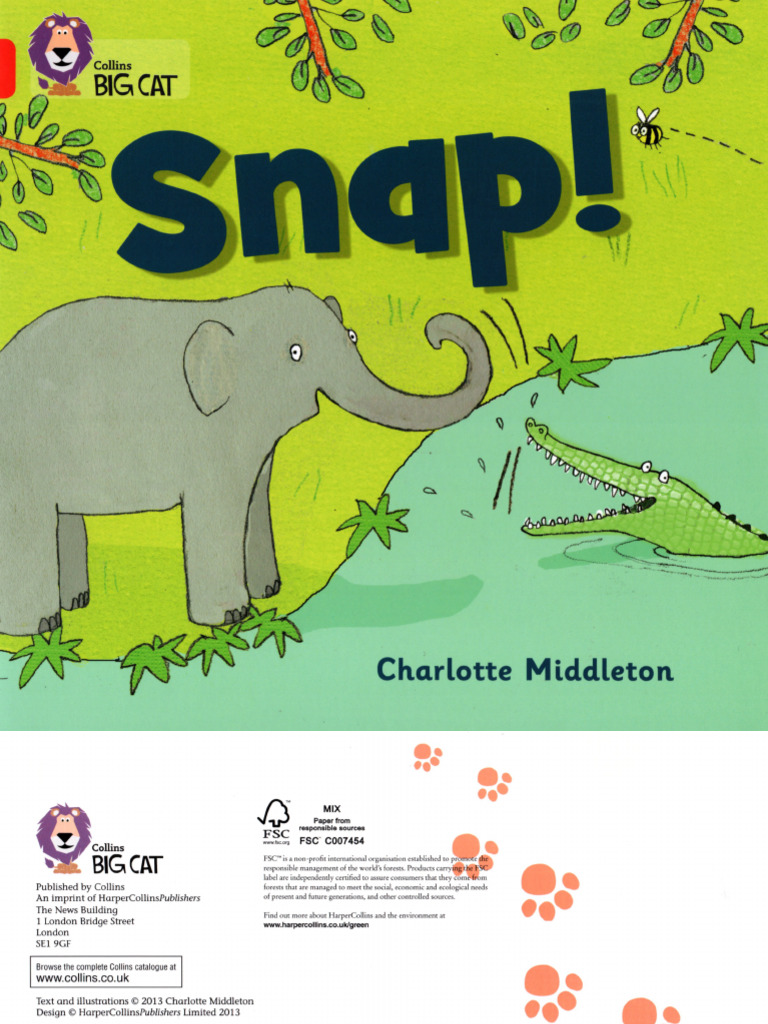 Snap! | PDF