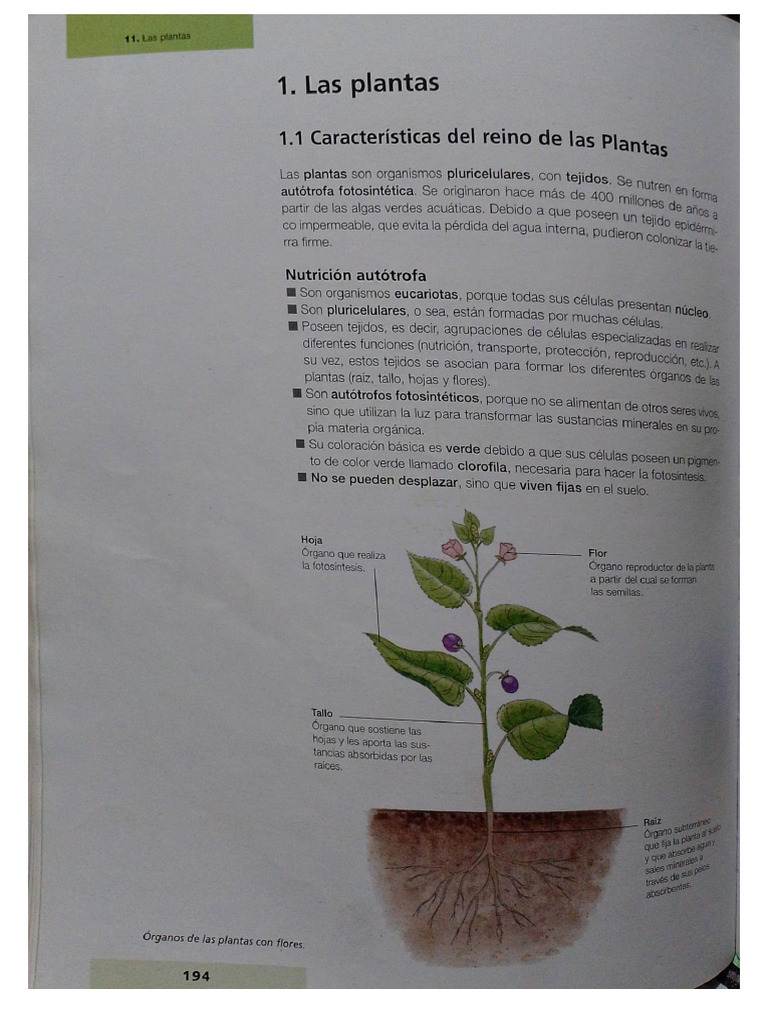 TapScanner Document Guide | PDF