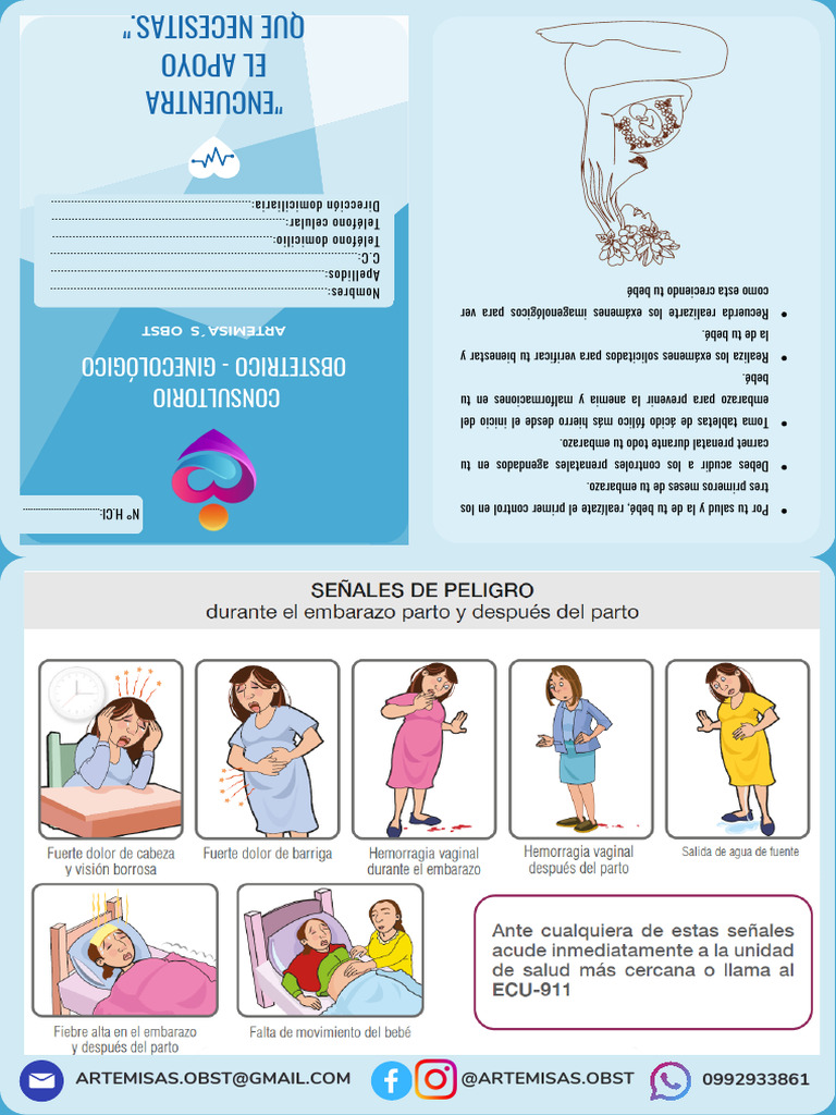 Carnet Prenatal Actualizado 2022 - 20240627 - 184812 - 0000 | PDF | El ...