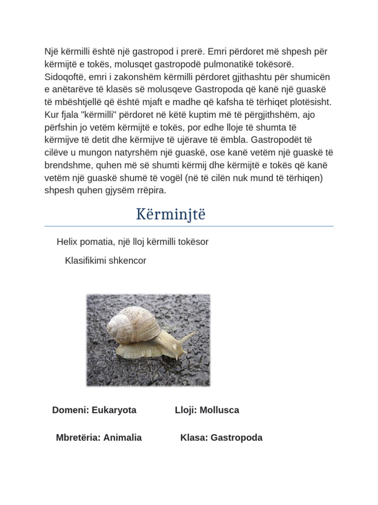 Kerminjte | PDF