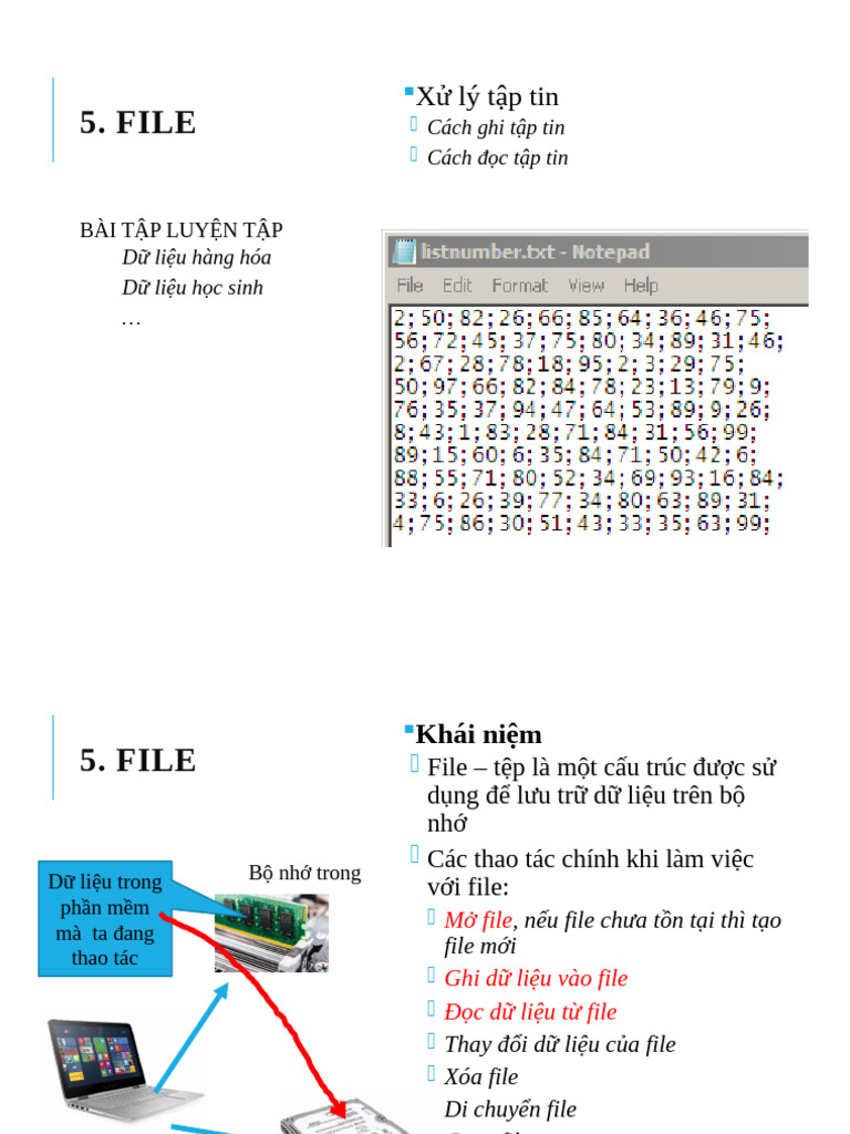 C5 File Pdf