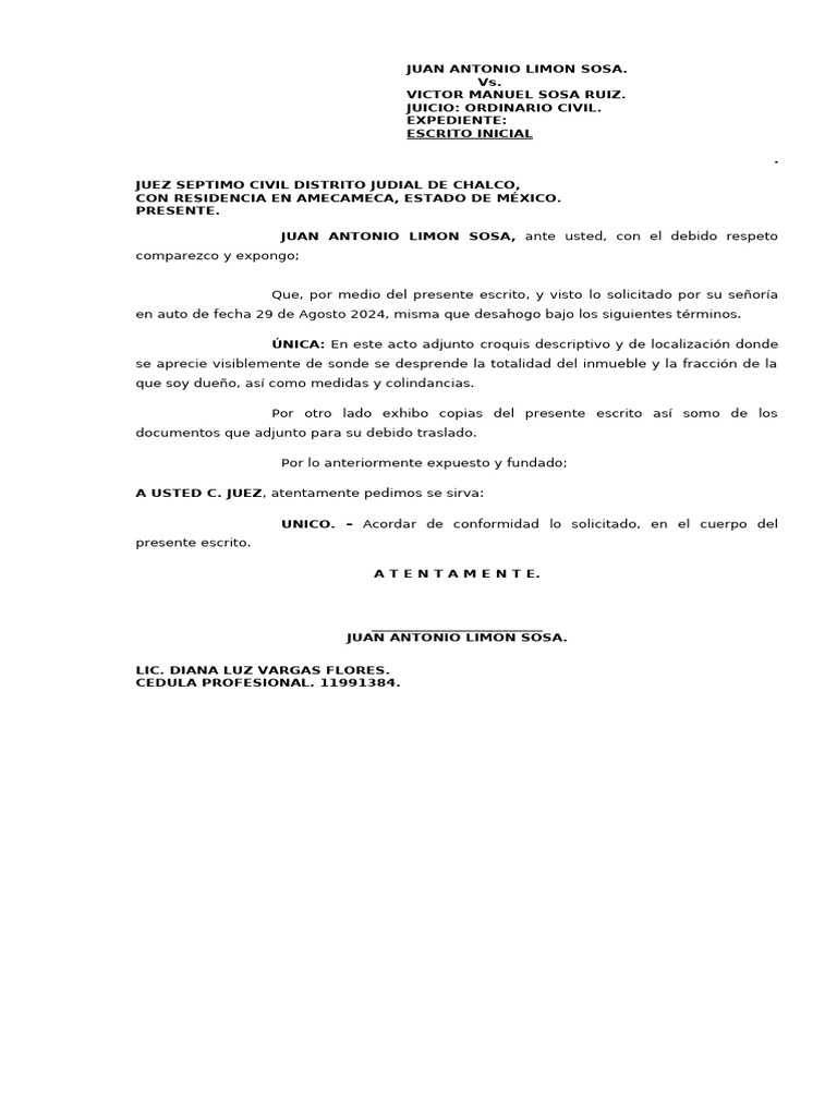 DESAHOGAR VISTA | PDF
