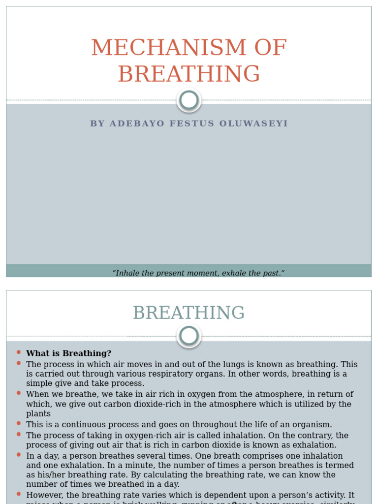 Mechanism of Breathing | PDF | Breathing | Lung