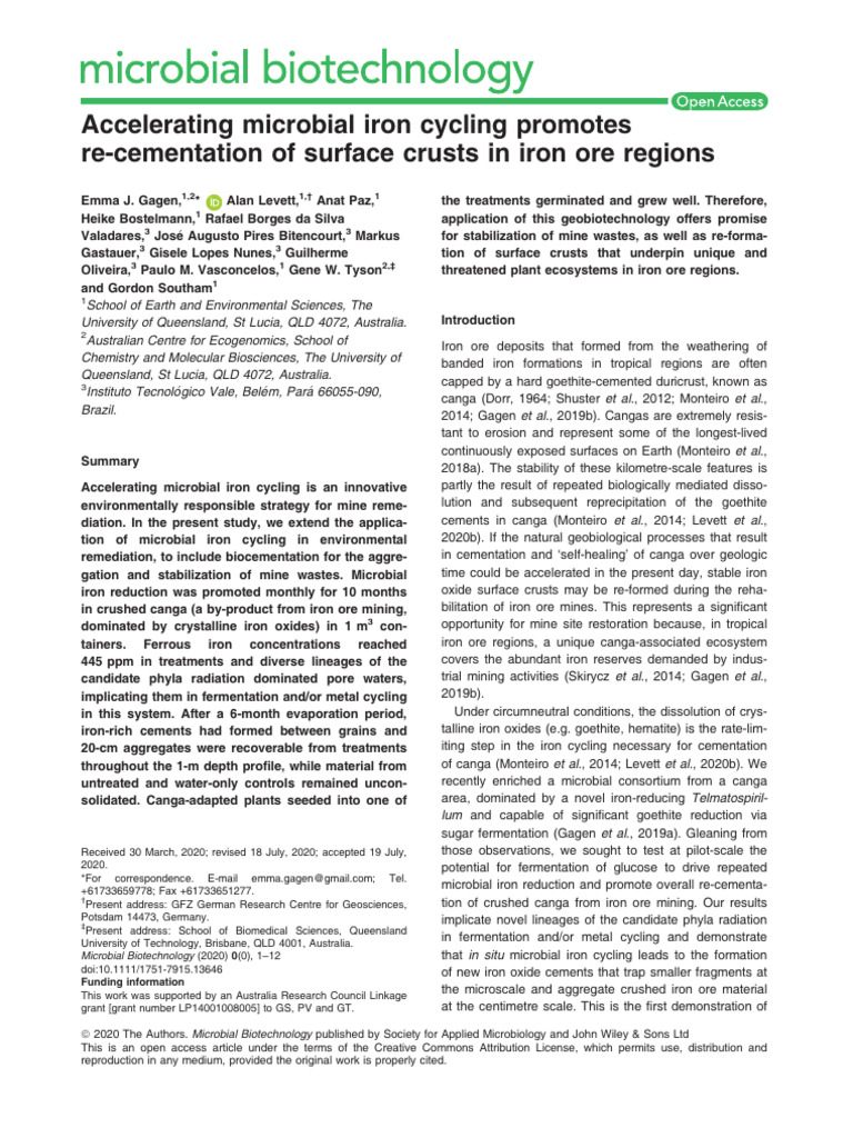 Accelerating Microbial Iron Cycling Promotes Re-Ce | PDF | Iron | Mining