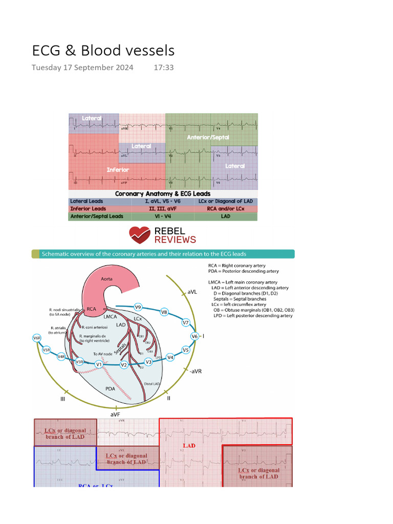 ECG & Blood vessels | PDF