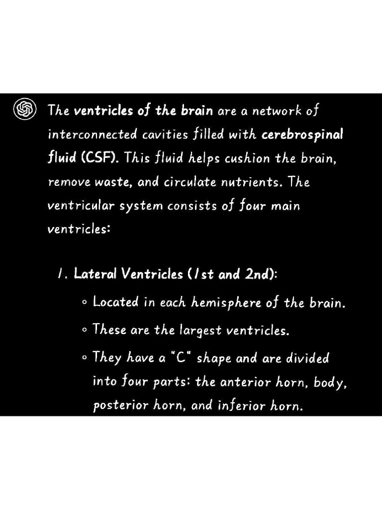 Ventricles of Brain | PDF