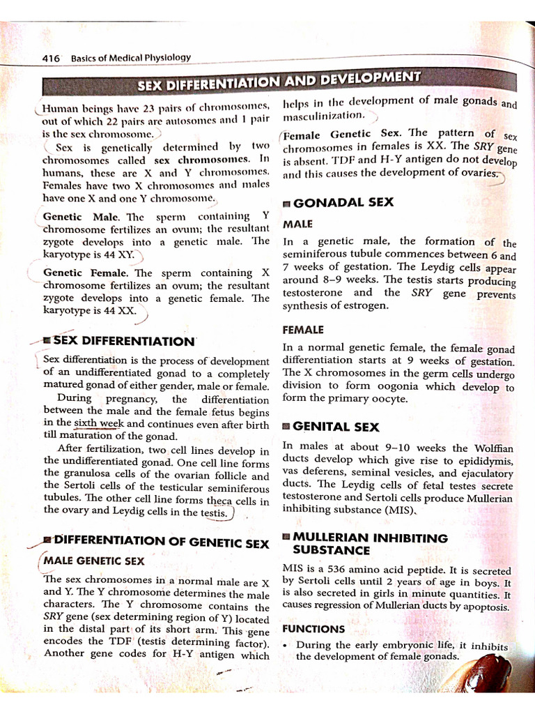 Sex Differentiation Pdf