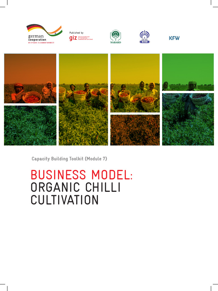 Organic Chilli Farming Business Model | PDF | Organic Farming | Agriculture