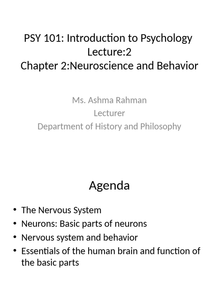 Lecture2 Theory, PSY101 | PDF | Neuron | Brain