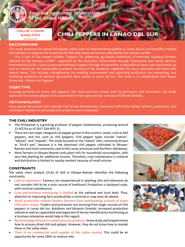 Value Chain of Chilli | PDF | Chili Pepper | Food And Agriculture ...