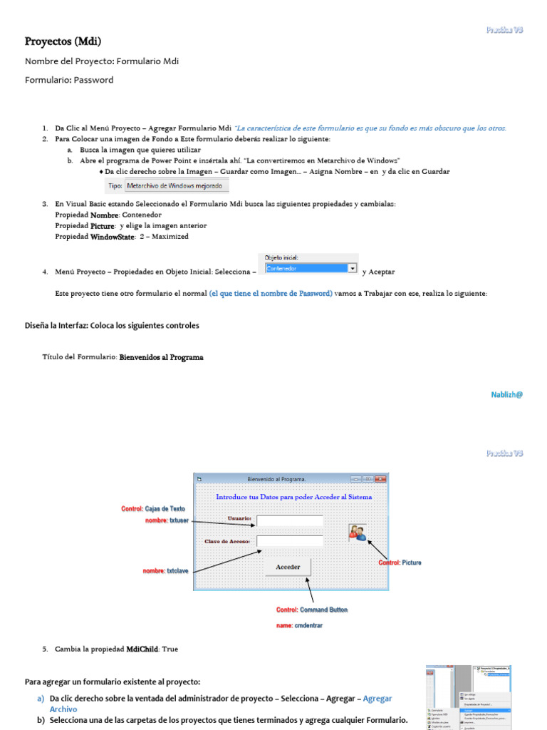 Formulario Mdi | PDF | Arte | Tecnología